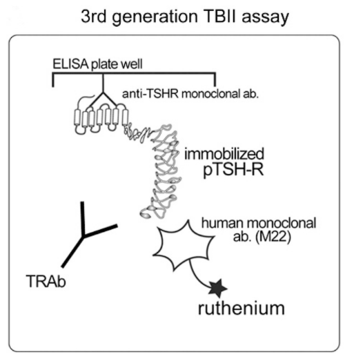 그레이브스병 TSH receptor 항체의 종류 및 검사 – 손닥터